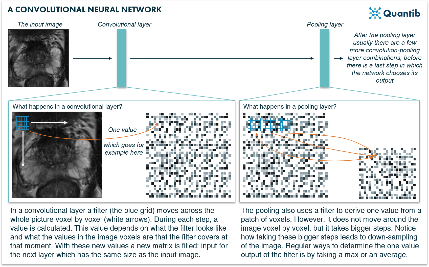 Deep Learning Applications In Radiology Image Segmentation